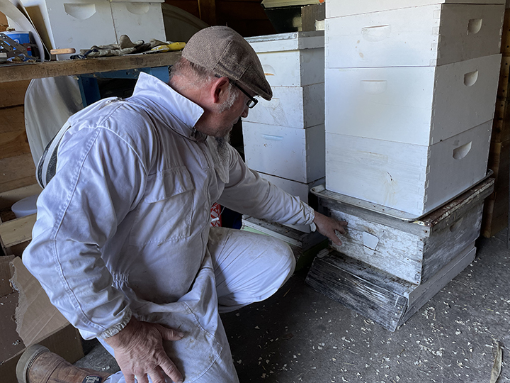 Ossineke beekeeper expands his hives | News, Sports, Jobs - The Alpena News